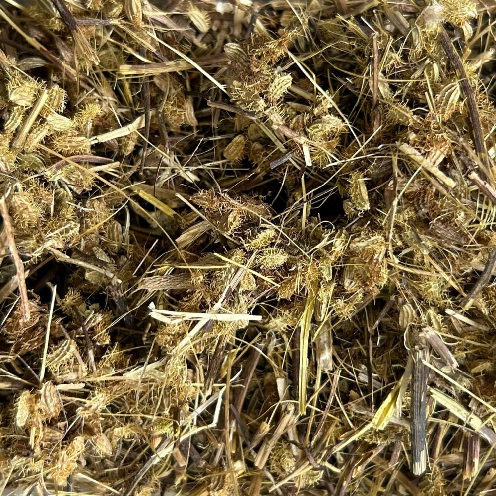 Carrapicho Produtos Naturais - CHÁ DE CARRAPICHO - Meu catálogo fácil!